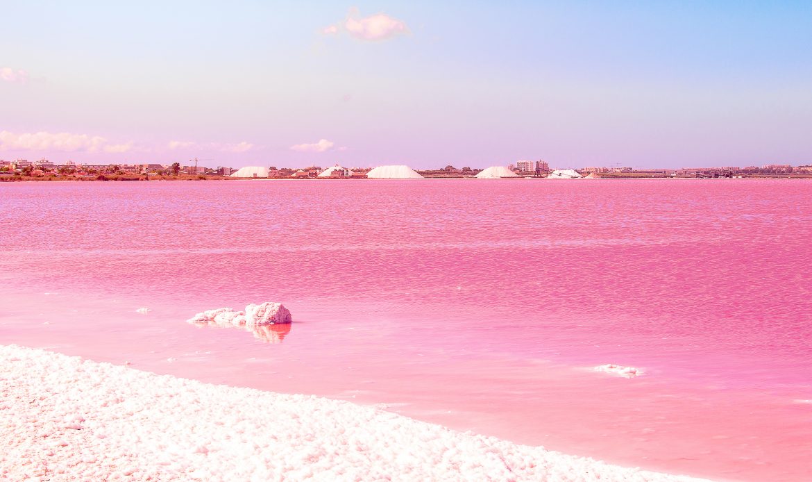 Le Lac Rose de TorreVieja : Tout ce qu’il faut savoir sur ce lieu ...