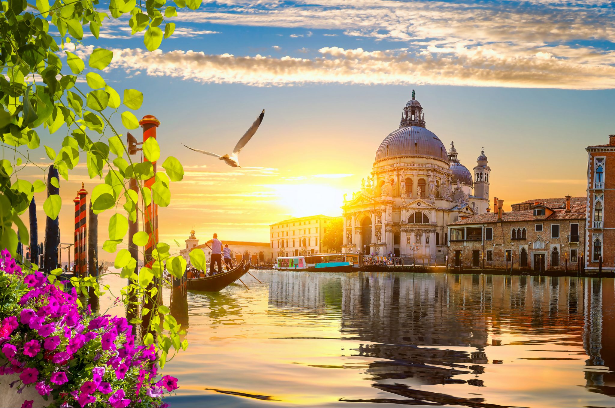 Les 10 plus belles plages de Venise et des environs - Chéri fais tes ...