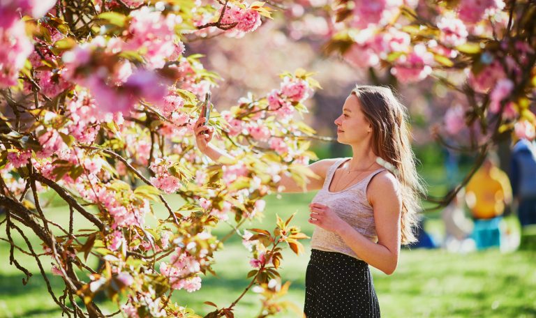 Que faire à Paris le Dimanche : Les 10 meilleures activités - Chéri ...