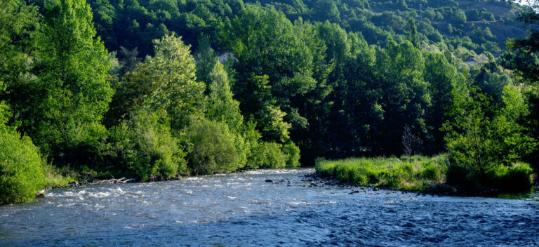 Top 10 des Plus Belles Forêts de France - Chéri fais tes valises