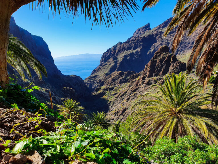 Top 10 des Plus Beaux Endroits de Tenerife - Chéri fais tes valises