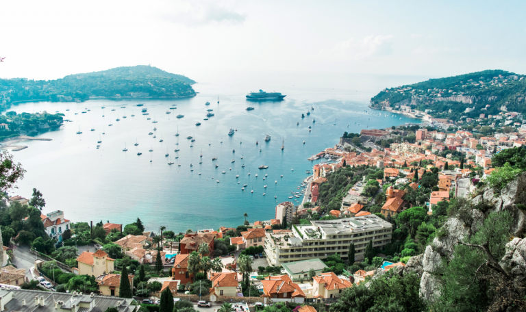 Où voir des dauphins en France ? Toutes nos astuces pour voir l'animal ...