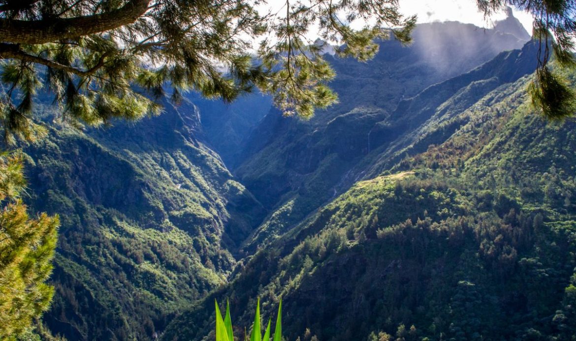 Île Maurice ou île de la Réunion : Que choisir pour sa prochaine ...